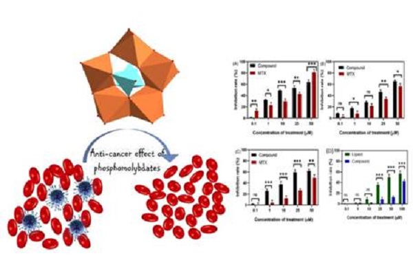 INST builds Hybrid compound that can inhibit breast, lung & liver ...