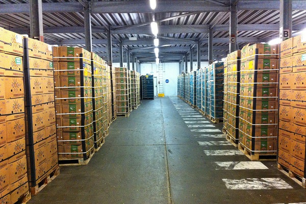 Food Processing Industries mandates to create post-harvest facilities ...